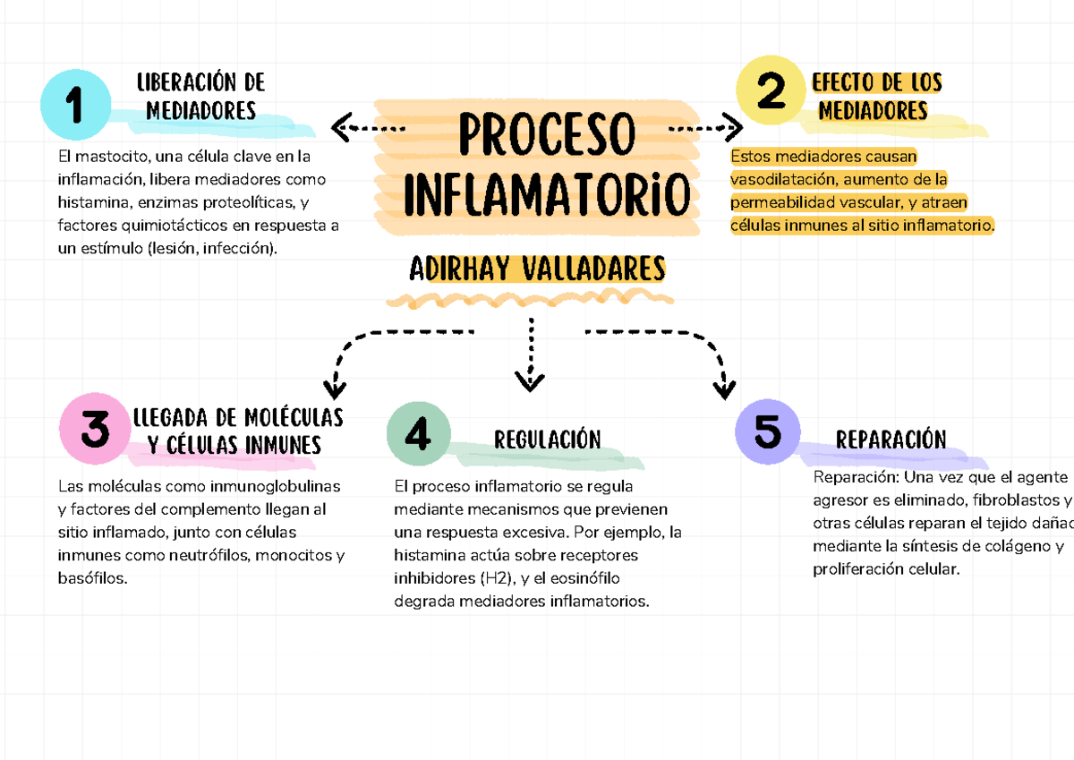 Proceso Inflamatorio - proceso Inflamatorio LIBERACIÓN DE MEDIADORES ...