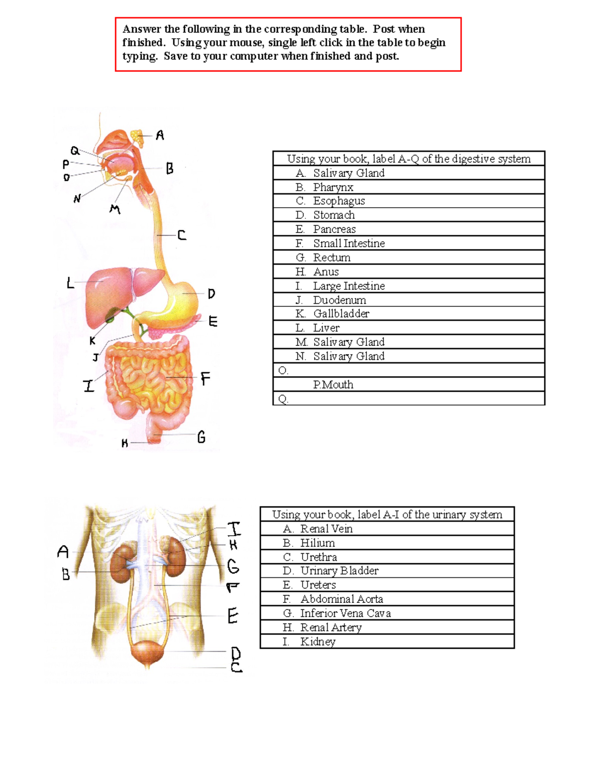 Digestion-urinary - Digestion-urinary - Using your book, label A-Q of ...