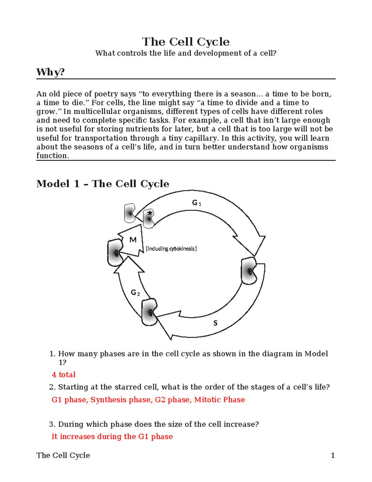 15 The Cell Cycle-S - This covers the Cell Cycle for a senior level ...