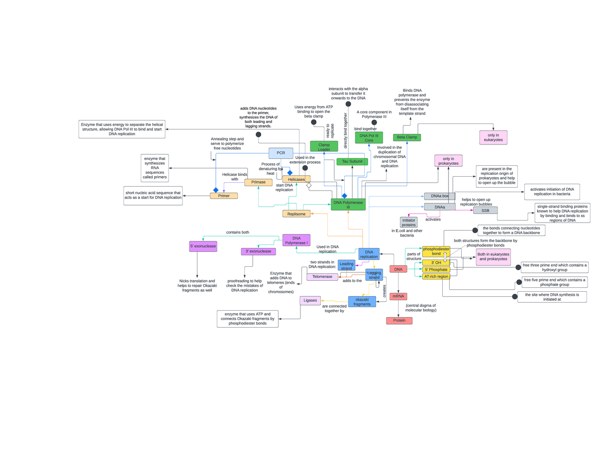 Concept 1 GN 421 - DNA mRNA Protein phosphodiester bond 3' OH 5' Phosphate AT-rich region DNA ...