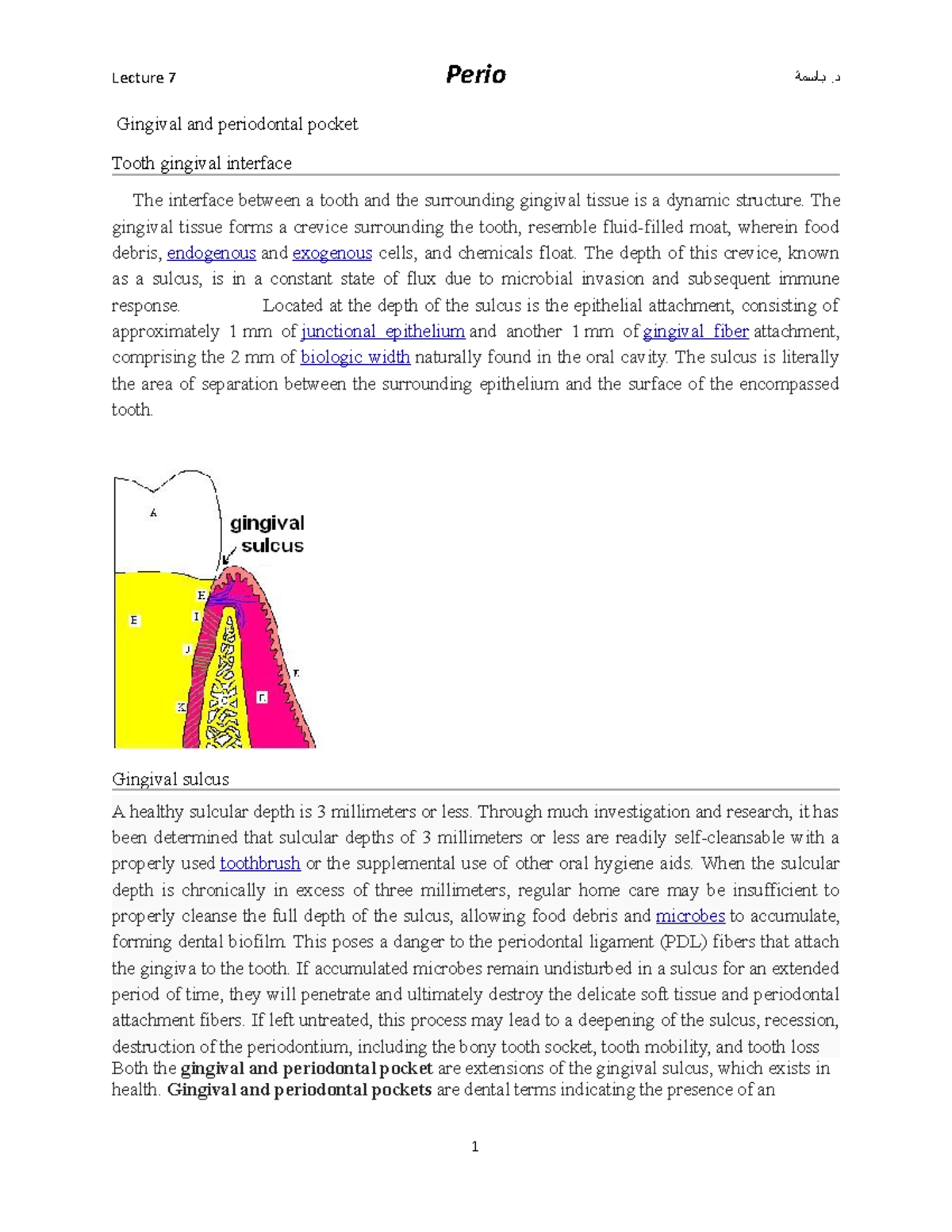 Lec 6 Periodontics - Gingival and periodontal pocket Tooth gingival ...