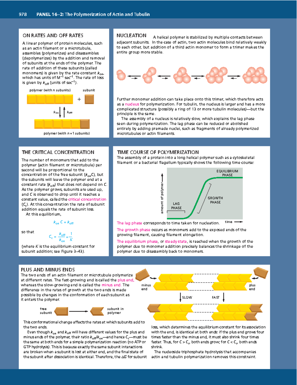 Topic 3 Supplemental Handout Panel 16-2 - ON RATES AND OFF RATES A ...