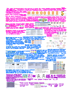 Chapter I-III genetics - Genetics Final Exam Review Chapter 1: Basic ...