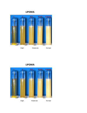 Module 2 - notes on bacteria and archea - BACTERIA EAR CHEA how they ...