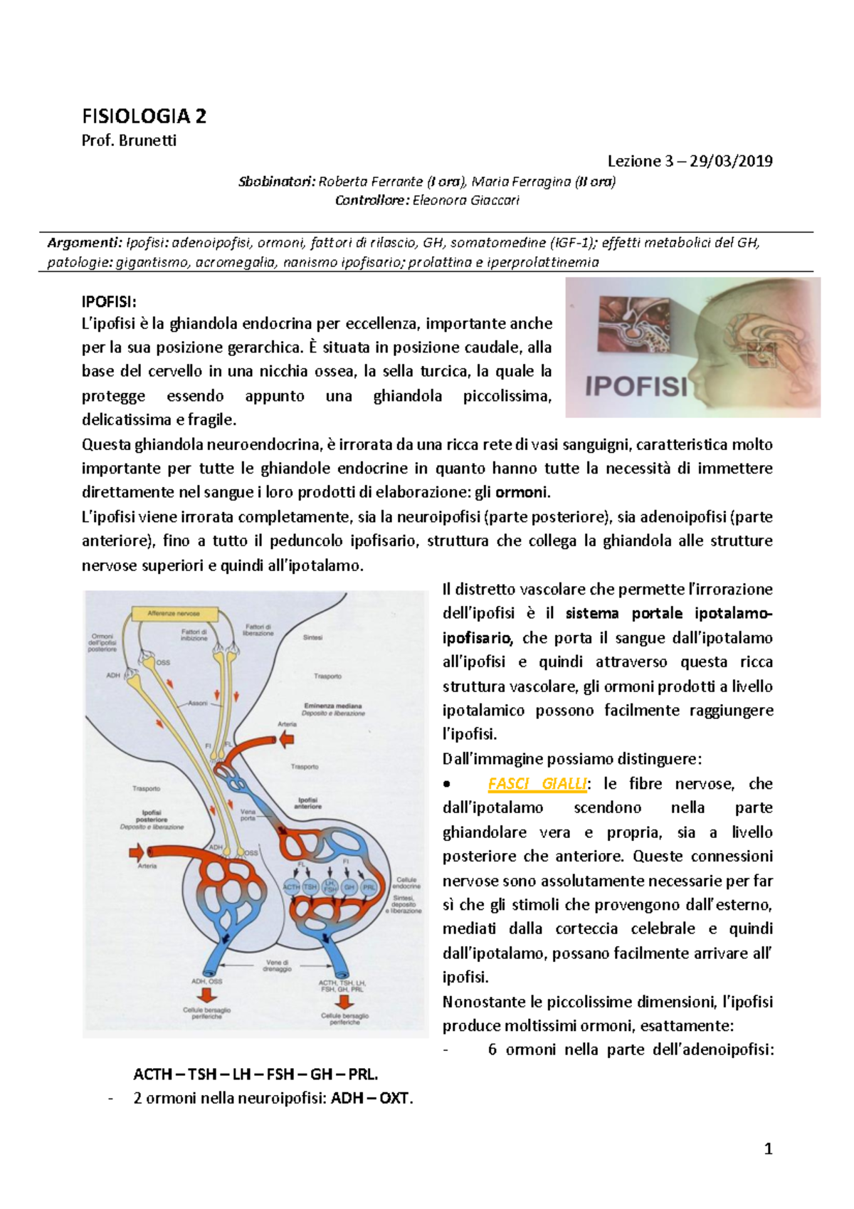 Lezione 3 - Fisiologia - 29-03 - Brunetti - Warning: TT: undefined function: 32 Warning: TT ...