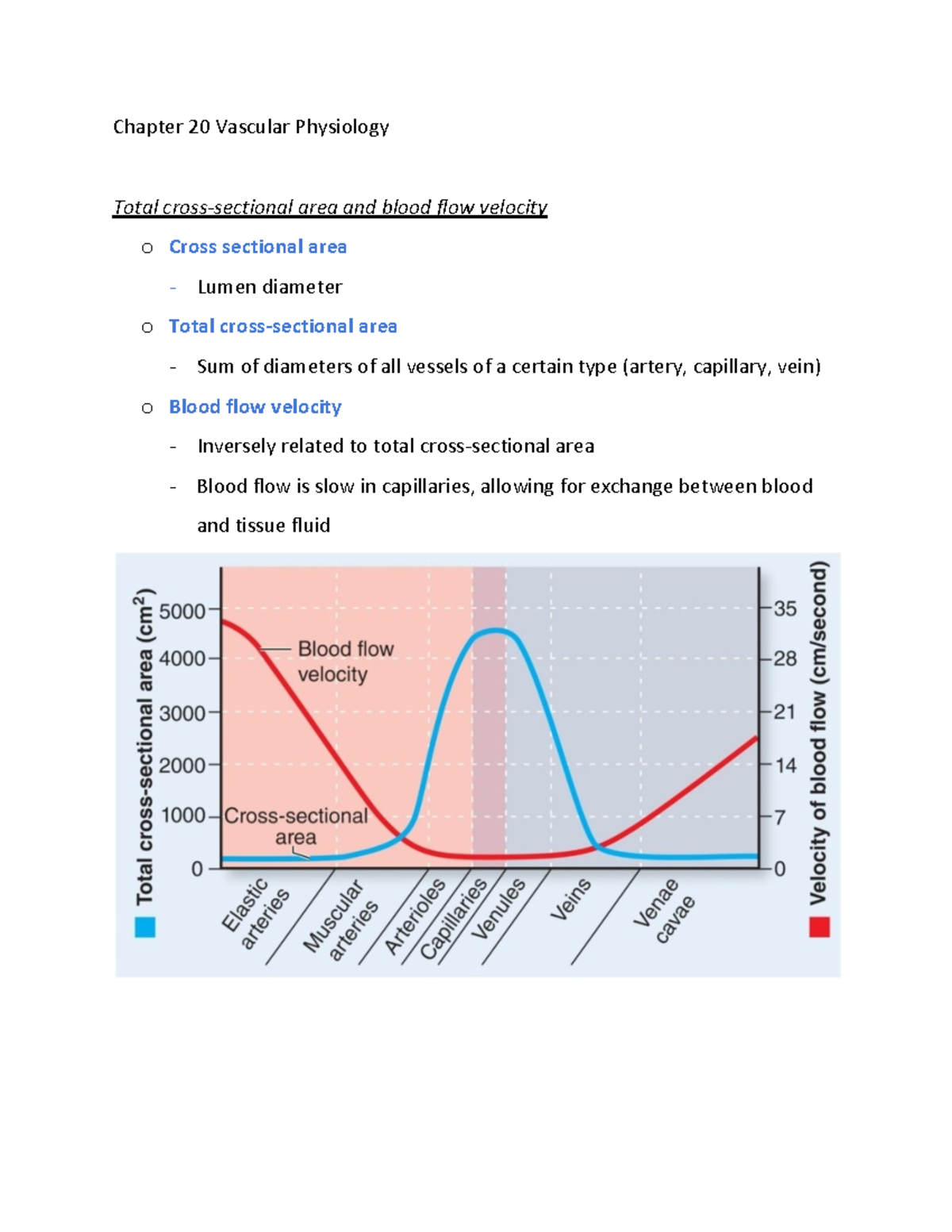 Chapter 20 Vasuclar Physiology - Chapter 20 Vascular Physiology Total ...