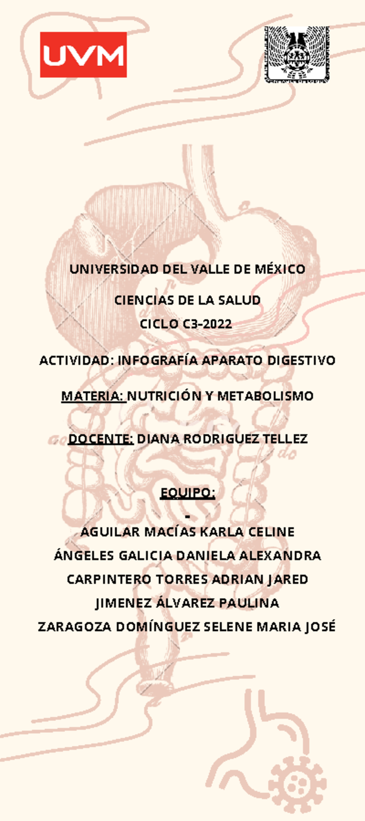 Infografía Aparato Digestivo - UNIVERSIDAD DEL VALLE DE MÉXICO CIENCIAS ...