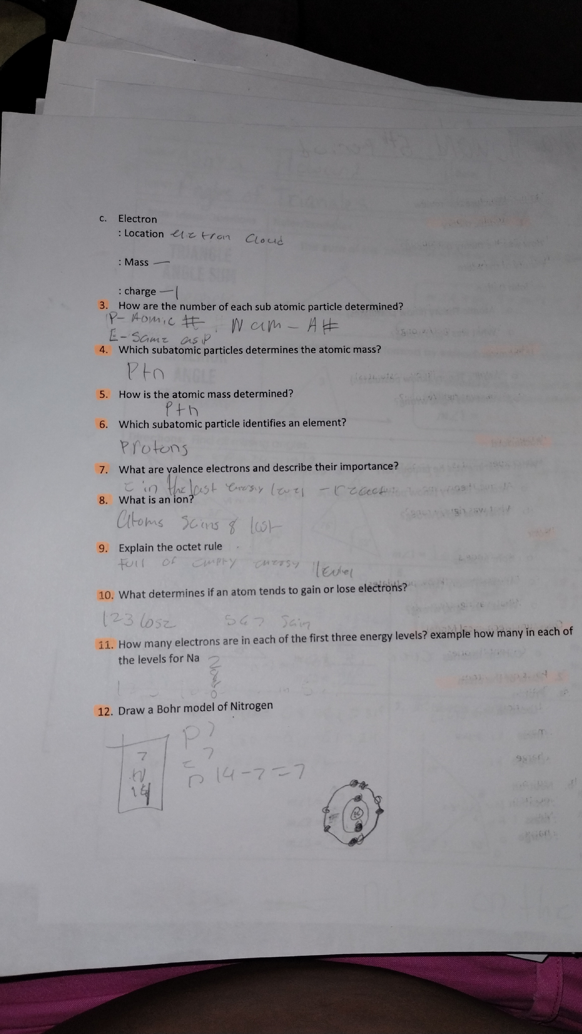 88 - identify the honey bee - Studocu