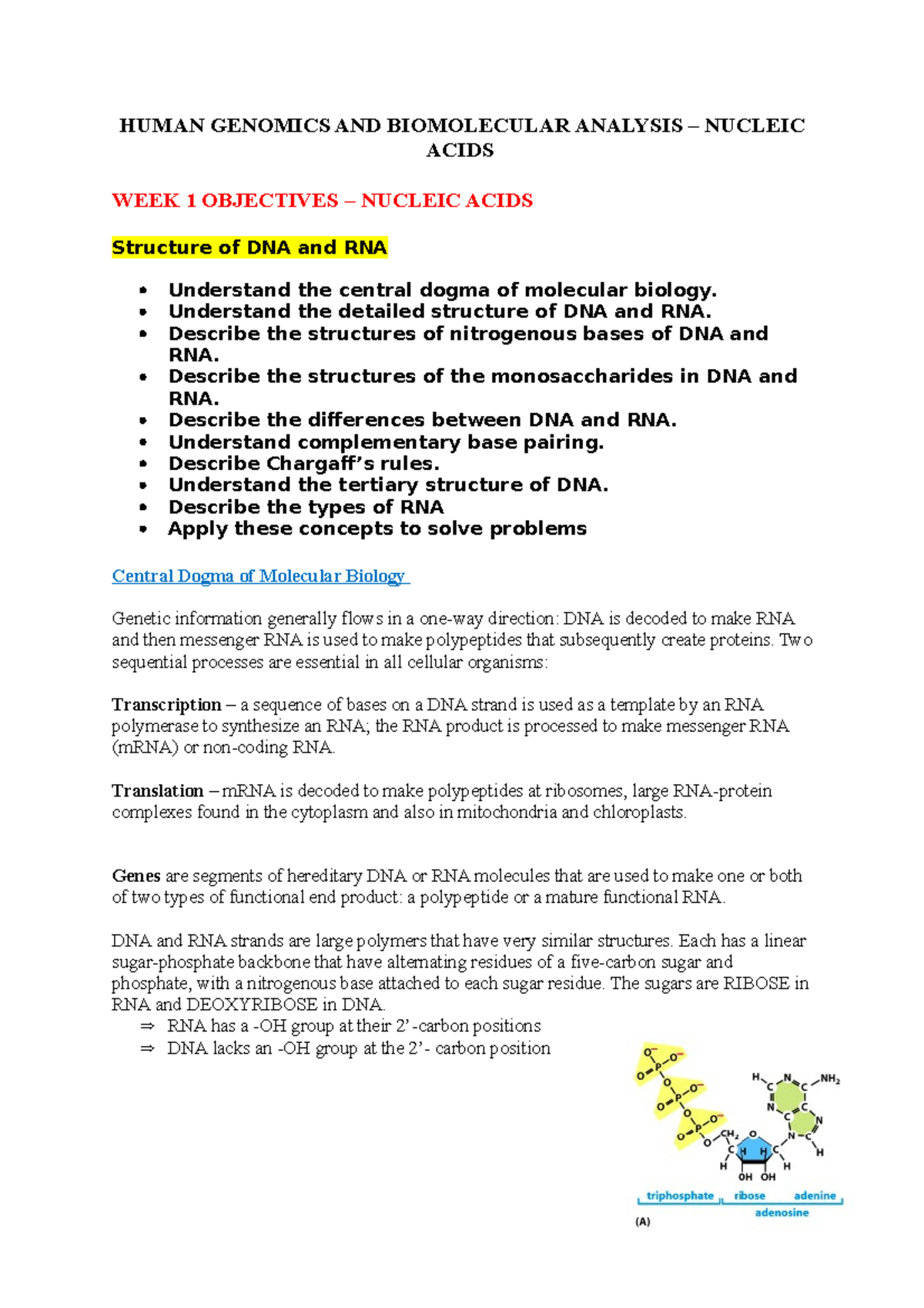 Human GENO & Biomol Nucleic Acids - HUMAN GENOMICS AND BIOMOLECULAR ...