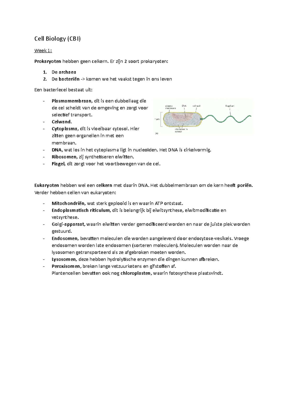 Cell Biology summary ICT-modules - Cell Biology (CBI) Week 1 ...