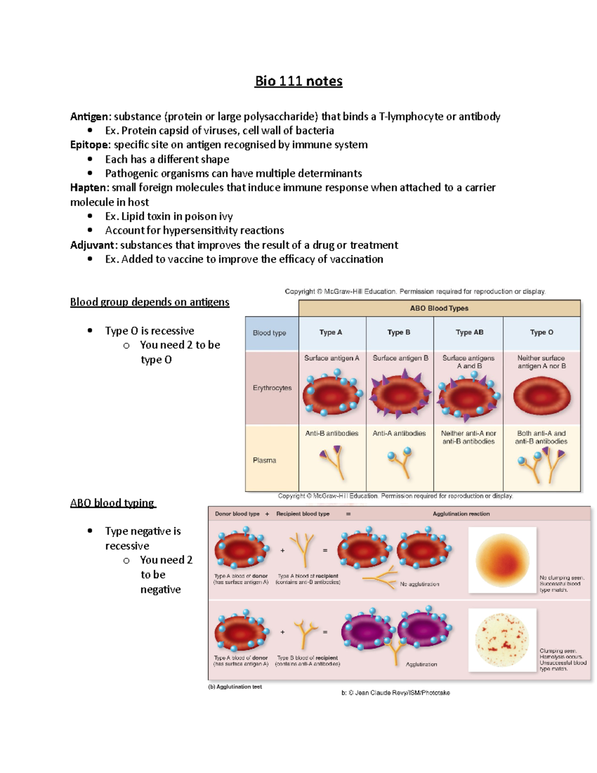 Bio 111 unit 2 notes - Bio 111 notes Antigen: substance (protein or ...