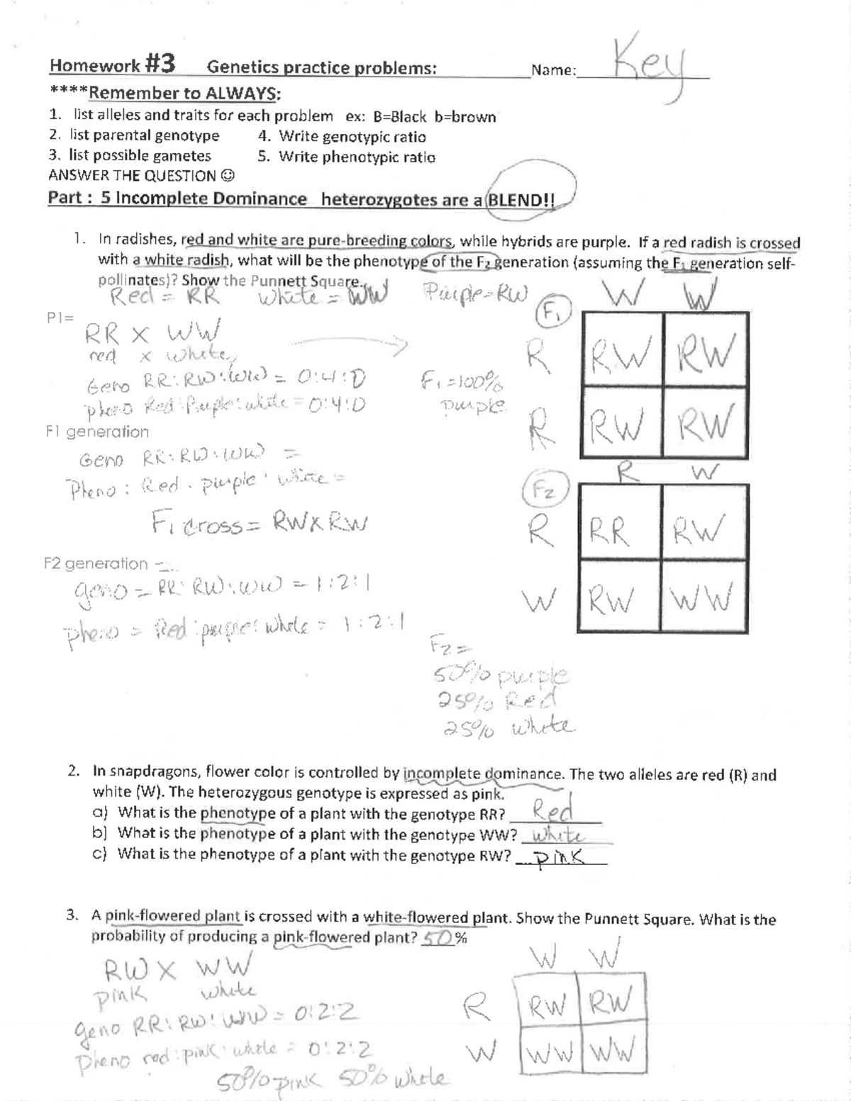 HW3 Genetics practice KEY - Education - Studocu