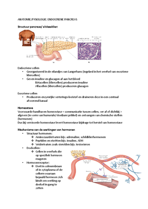 ASE-model-online - handig ase invul model - HBO Verpleegkundige ...