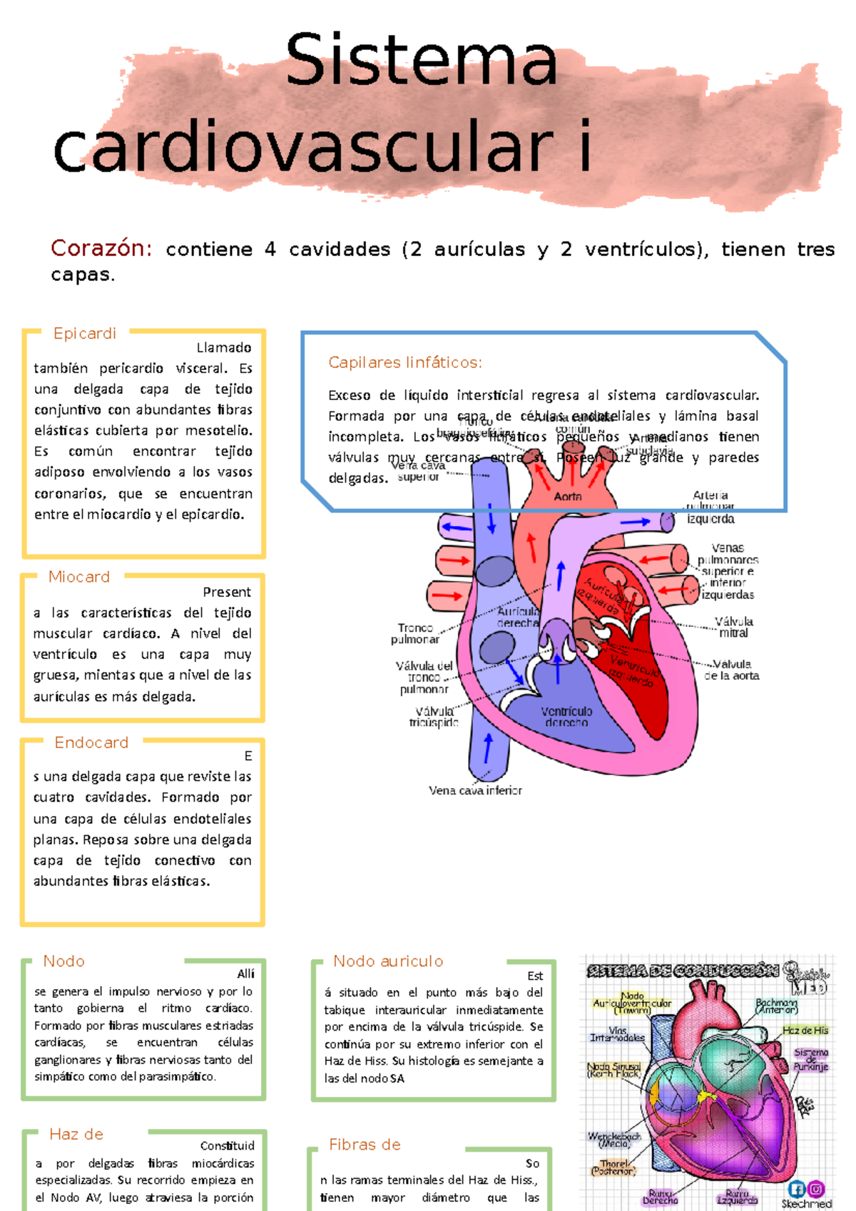 Sistema cardiovascular I Resumen - Warning: TT: more functions defined than expected Sistema ...