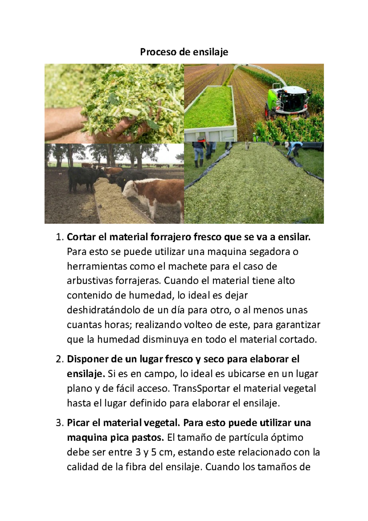 Proceso de ensilaje - Proceso de ensilaje Cortar el material forrajero ...