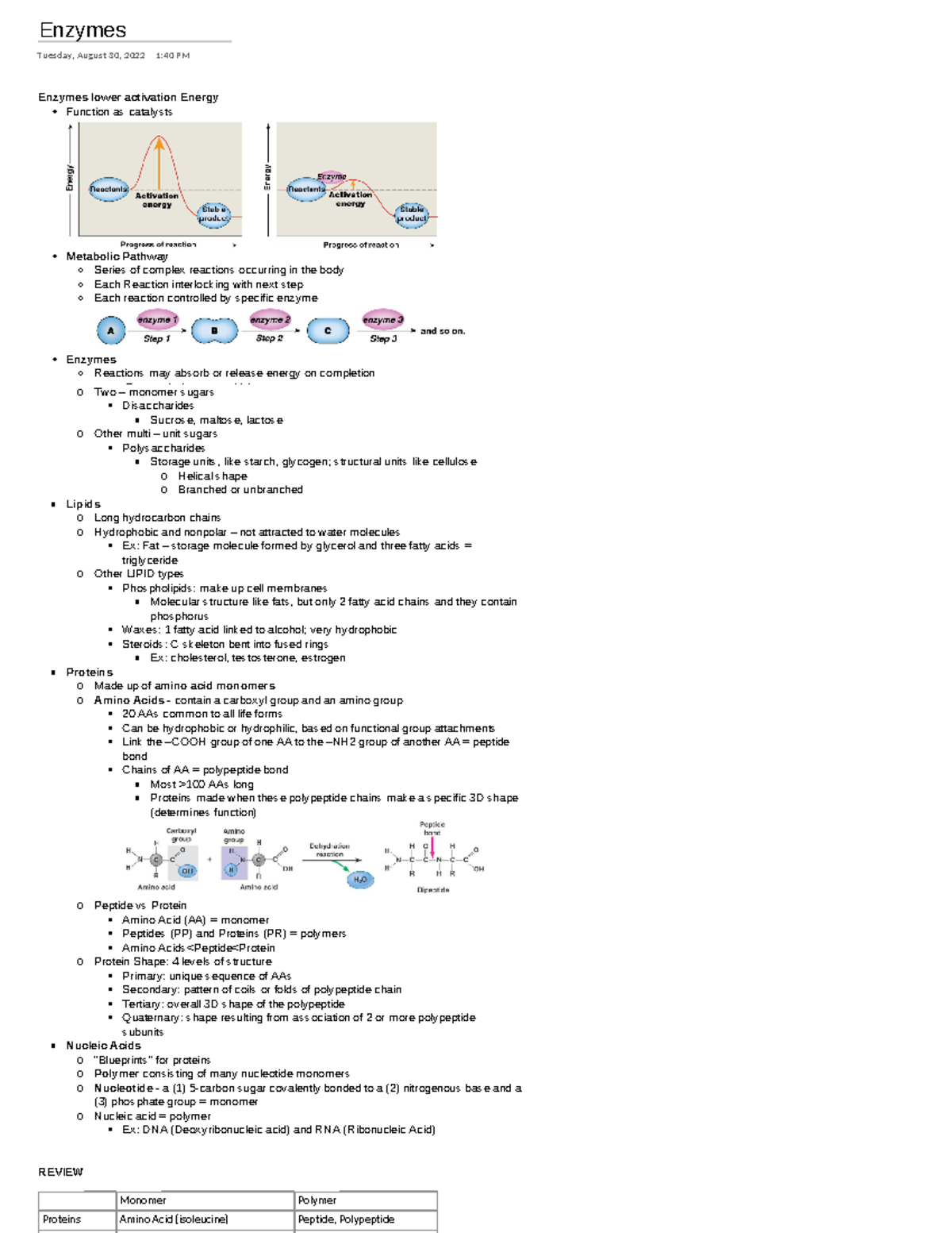 Basic Biochemistry - An overview of the macromolecules - Basic ...