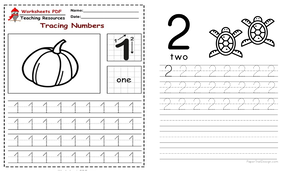Thoracentesis - Therapeutic Procedure - ACTIVE LEARNING TEMPLATES ...