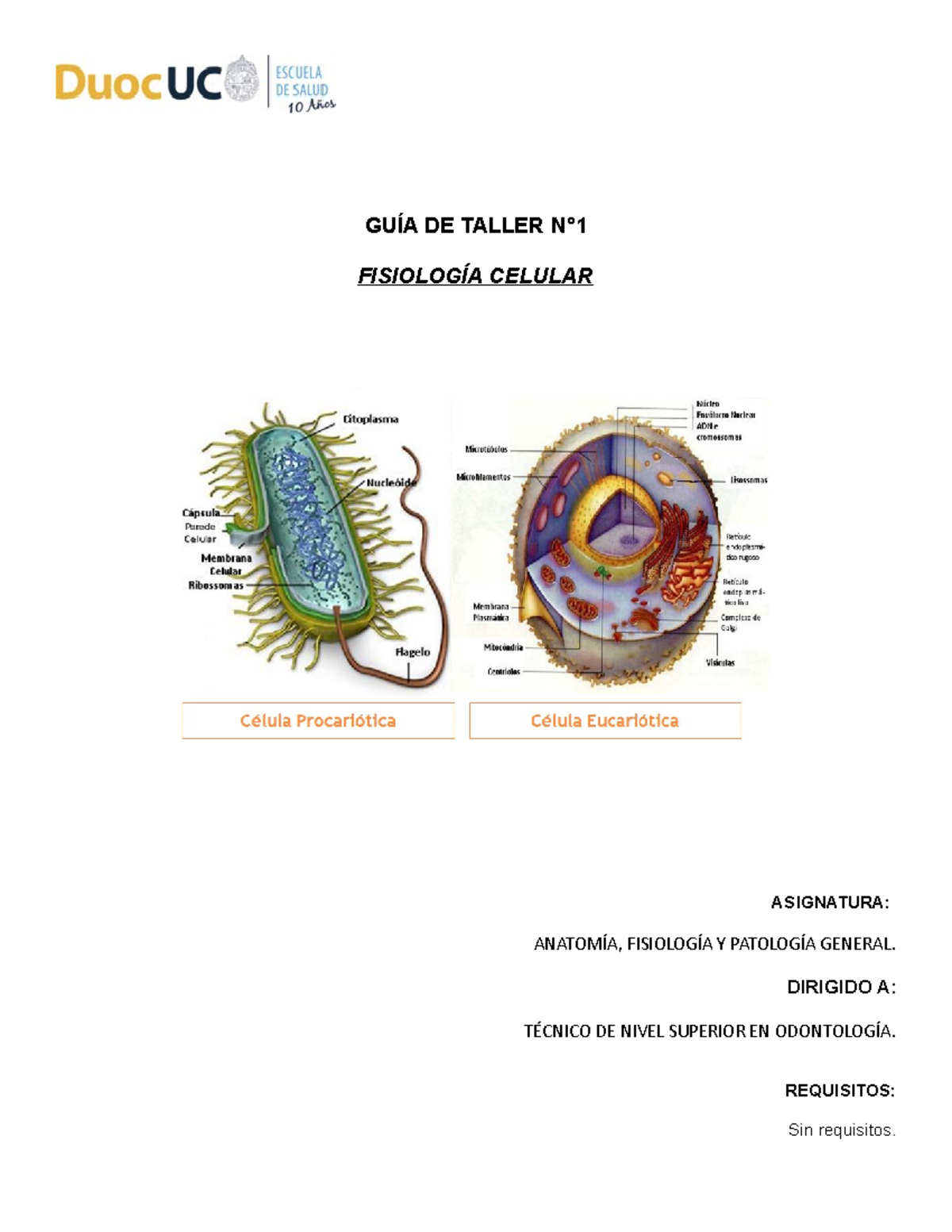 fisiologia celular - GUÍA DE TALLER N° FISIOLOGÍA CELULAR ASIGNATURA ...