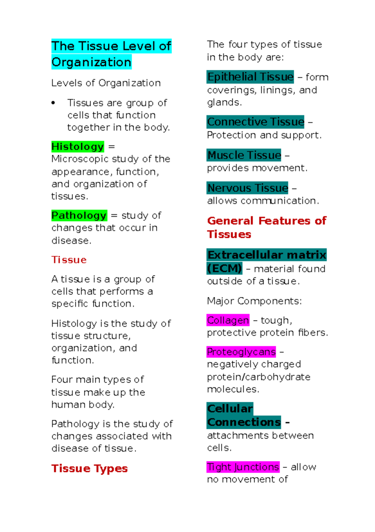 The Tissue Level of Organization - The Tissue Level of Organization ...