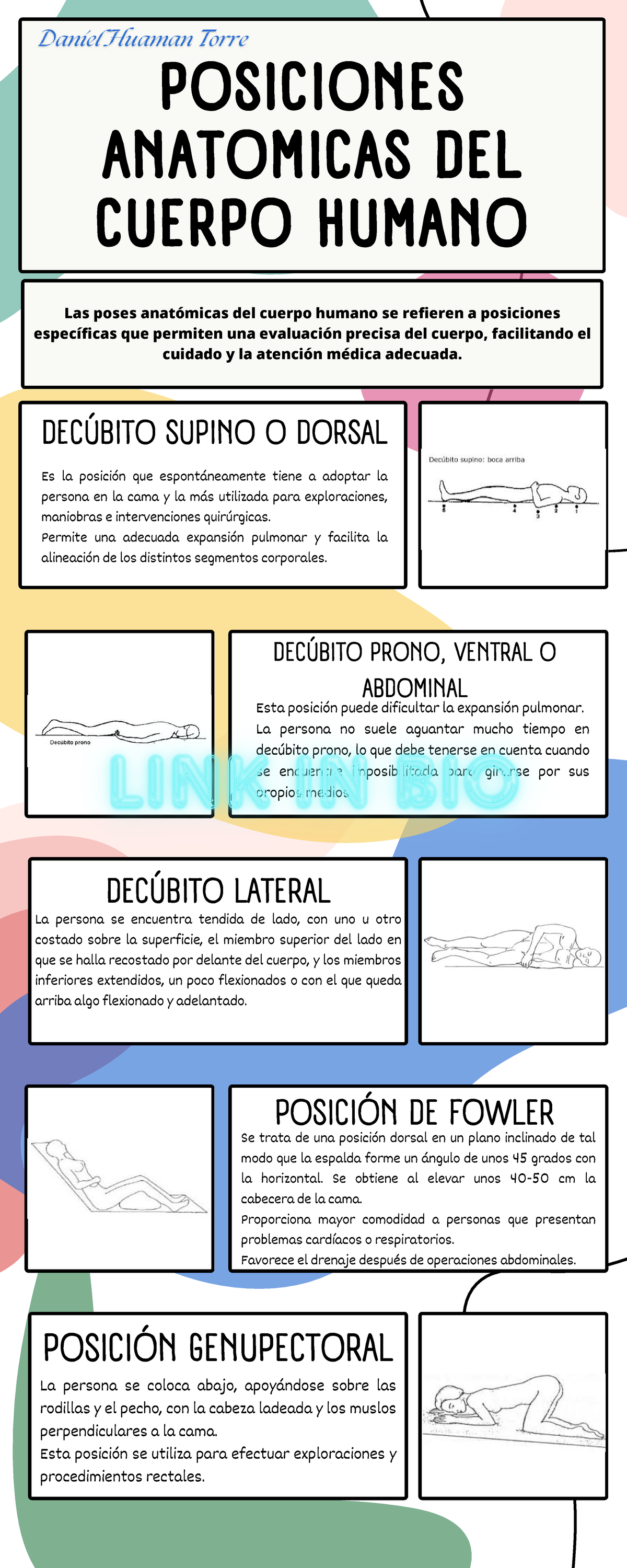 Posiciones Anatomicas - POSICIONESPOSICIONES ANATOMICAS DELANATOMICAS DEL CUERPO HUMANOCUERPO ...