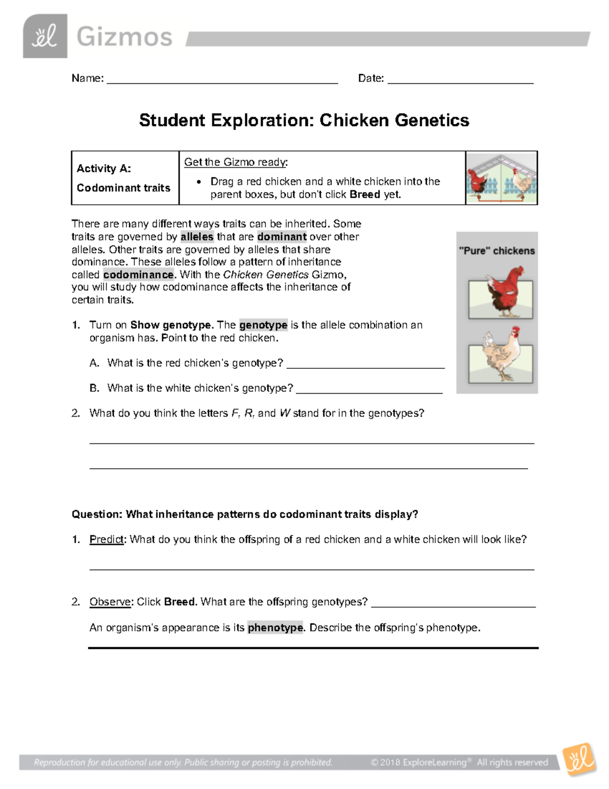Chicken Genetics Codominance 2022-23 - Name: ______________________________________ Date: - Studocu