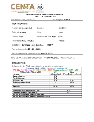 Arneses electricos automotrices - INSTITUTO POLITÉCNICO NACIONAL MÉXICO ...
