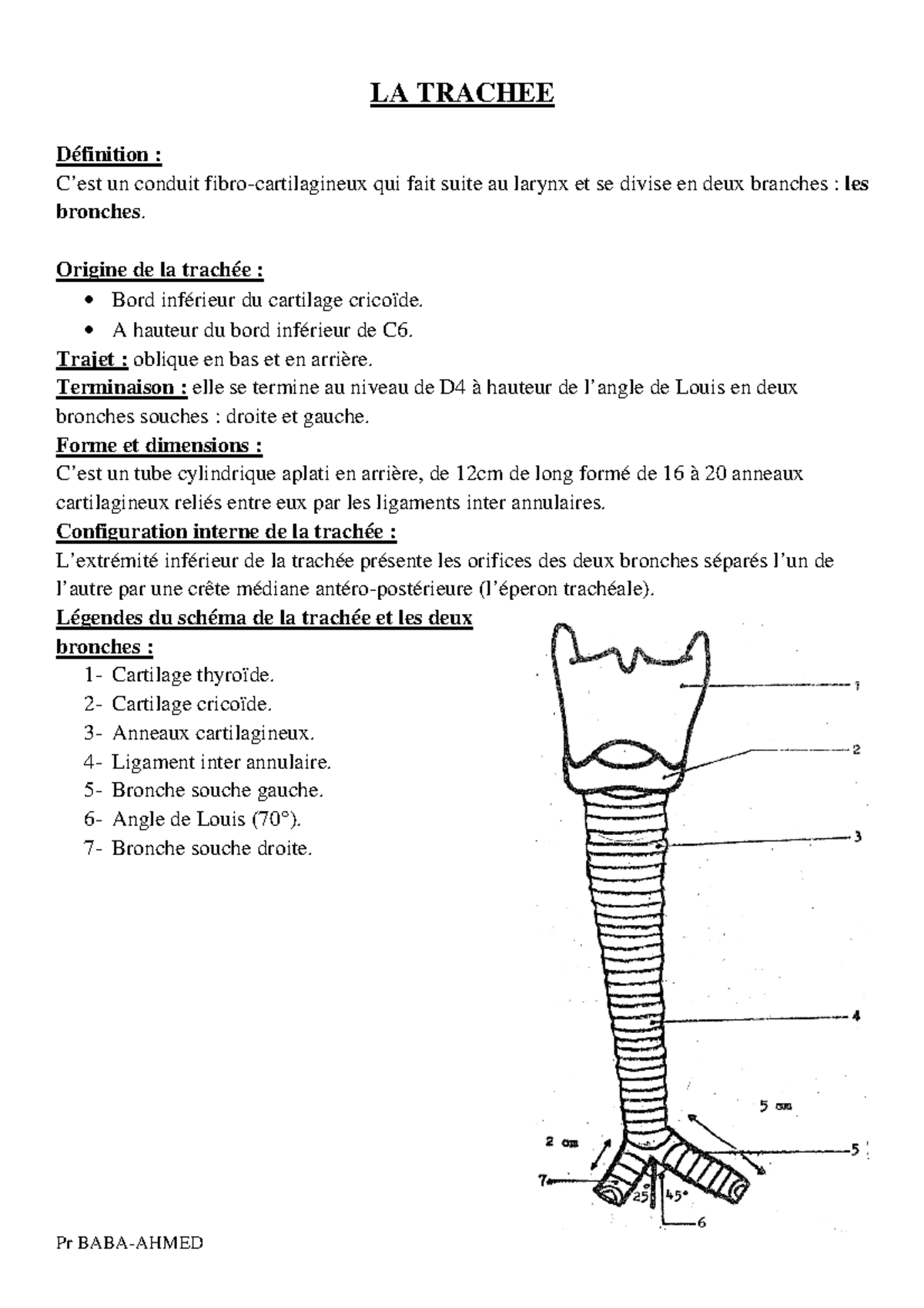 anatomie de la trachée - Pr BABA-AHMED Définition : C’est un conduit ...