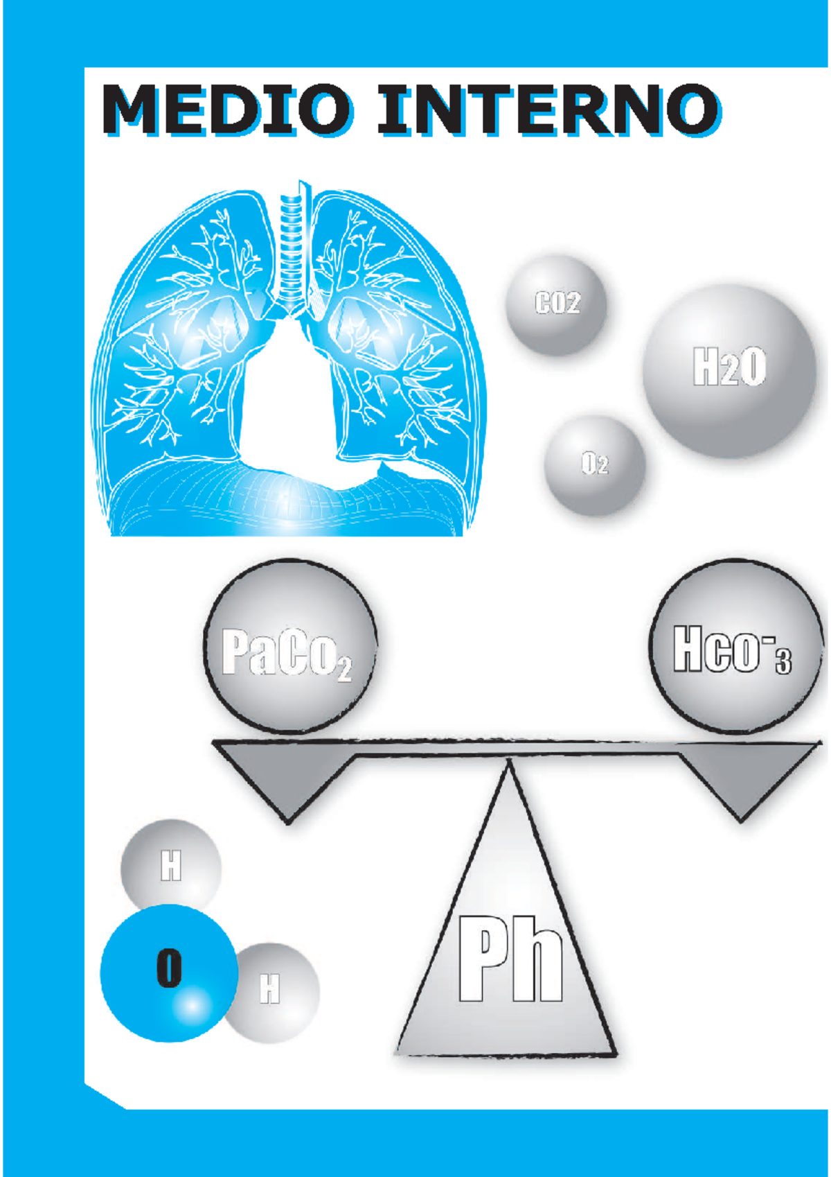 8. Medio interno - MEDIO INTERNO MEDIO INTERNO CAPÕTULO 2 RESUMEN Para ...