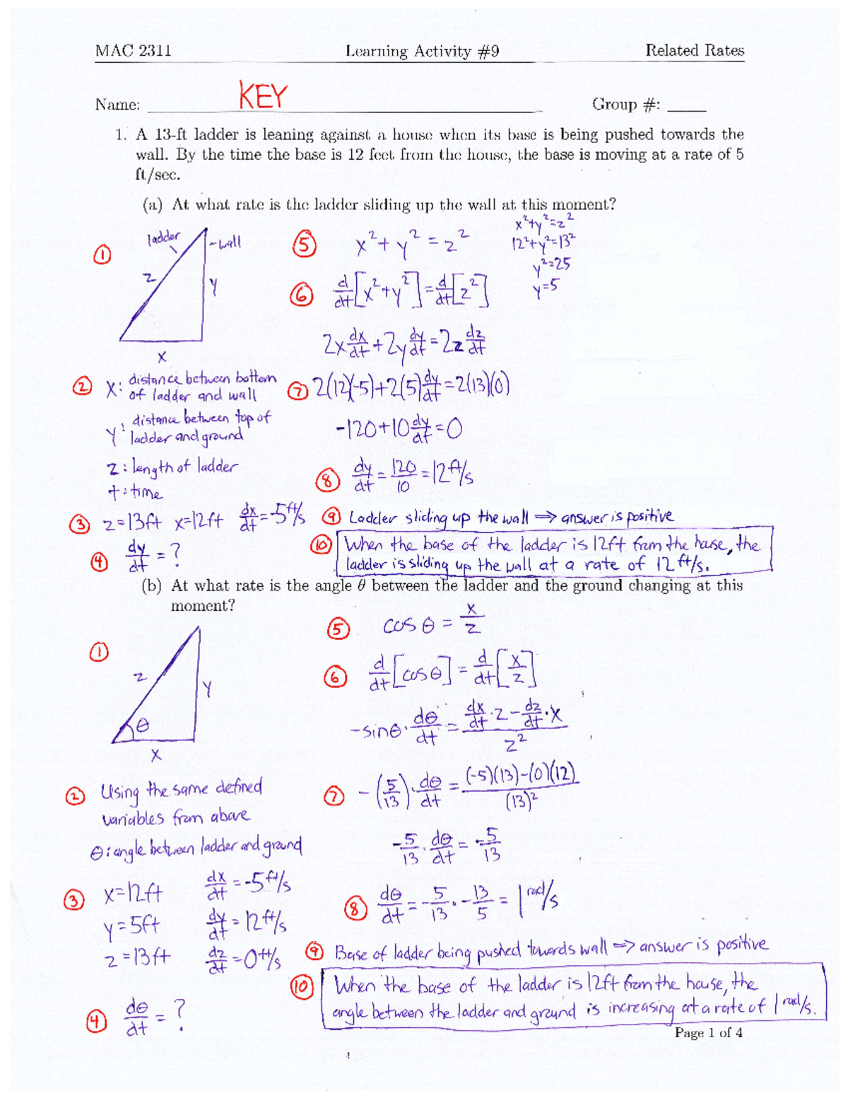 Answer-Learning Activity 9 - MAC 2311 - Studocu