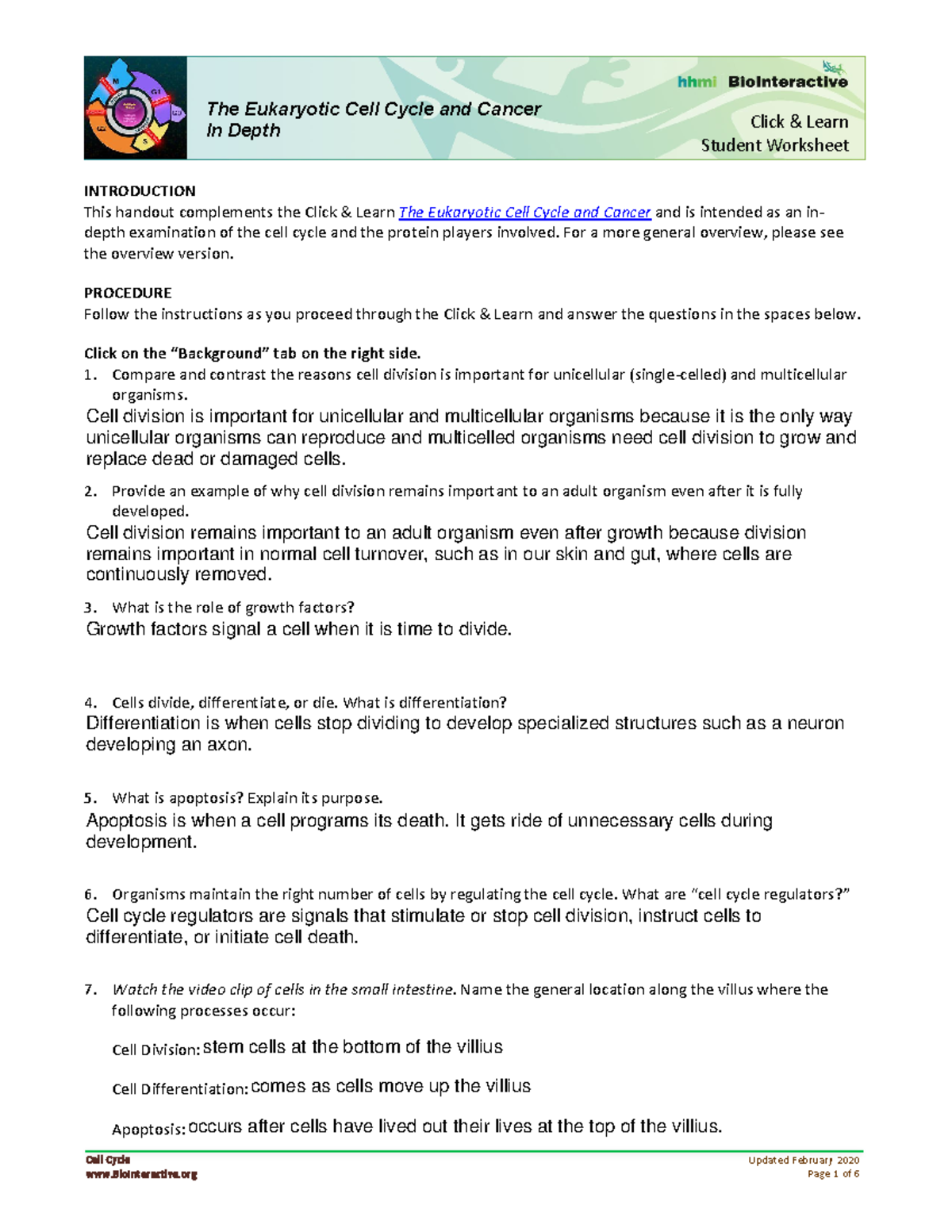 Cell cycle worksheet - Click & Learn Student Worksheet The Eukaryotic ...