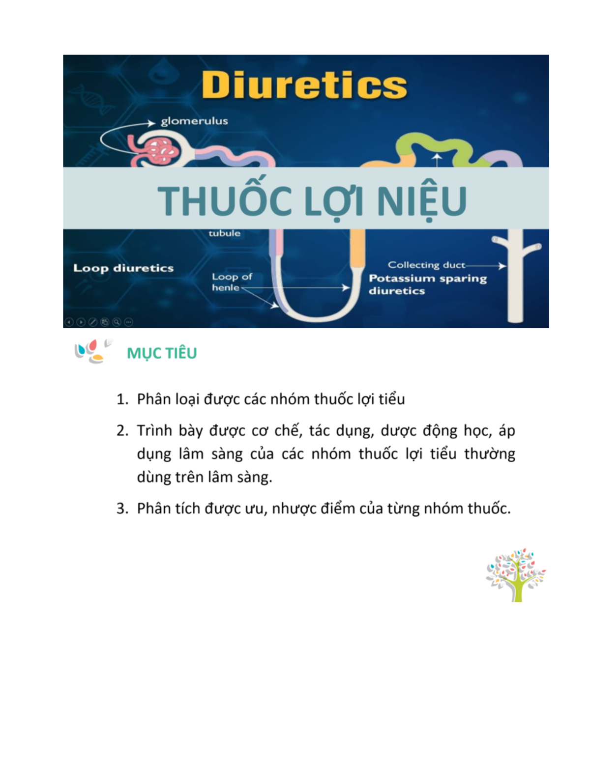 Httpselearning.tump.edu.vnpluginfile.php191514 mod resourcecontent 1Thuốc20lợi20niệu - Studocu