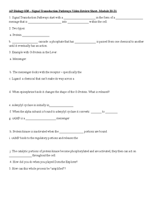 Video Guide Gibbs Free Energy - VIDEO GUIDE ON BOZEMAN BIOLOGY – GIBBS ...
