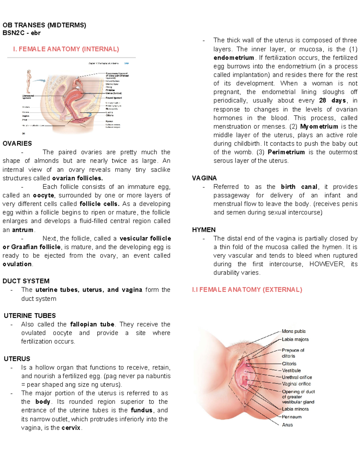 OB Transes FOR Midterms (to be edited) - BSN2C - ebr I. FEMALE ANATOMY (INTERNAL) OVARIES - The ...