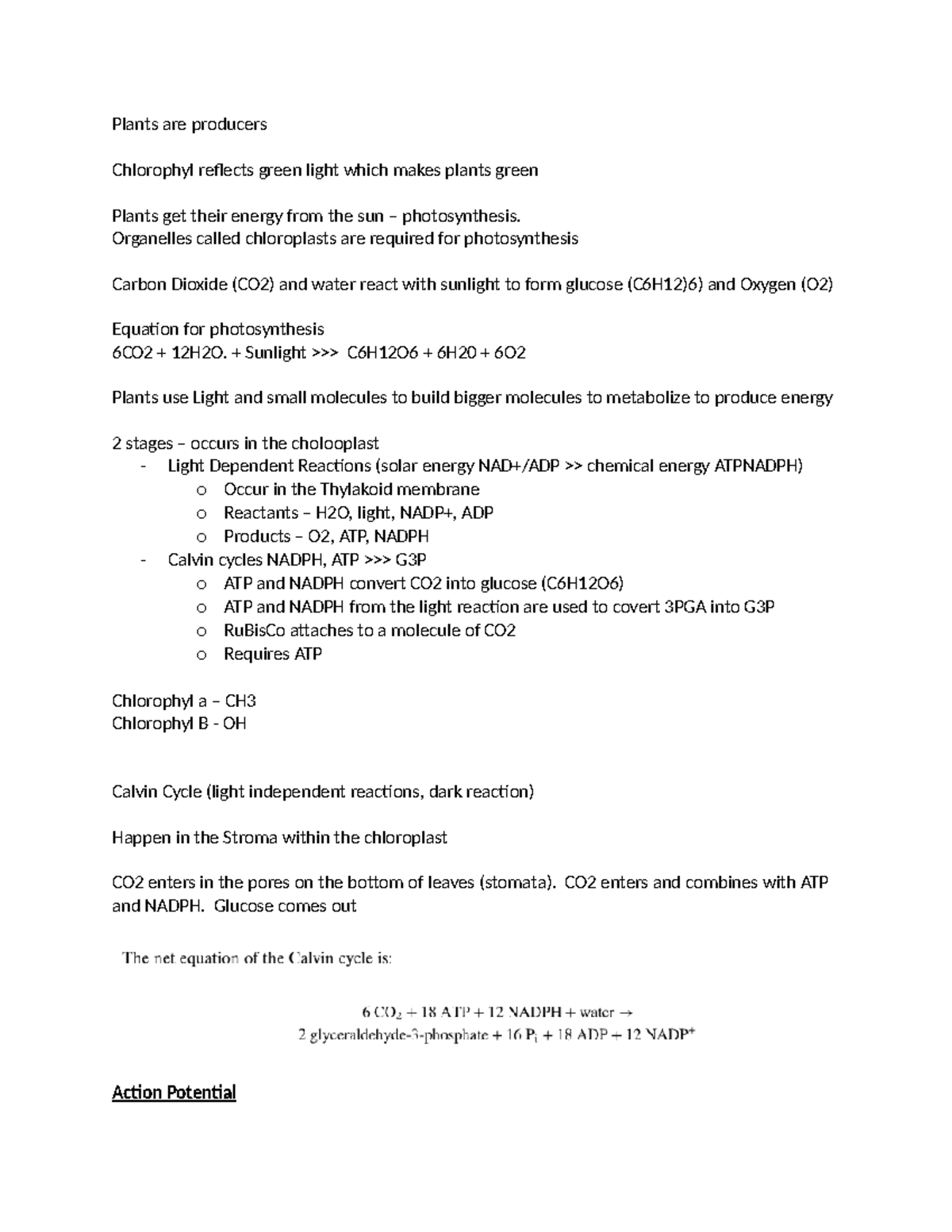 Biology Photosynthesis - Plants are producers Chlorophyl reflects green ...