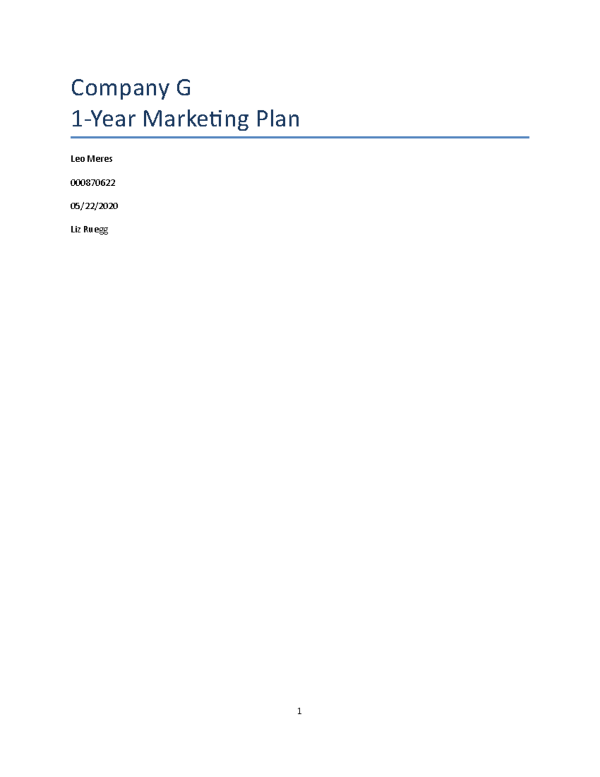 VZT1 Marketing Plan - Company G 1-Year Marketing Plan Leo Meres ...