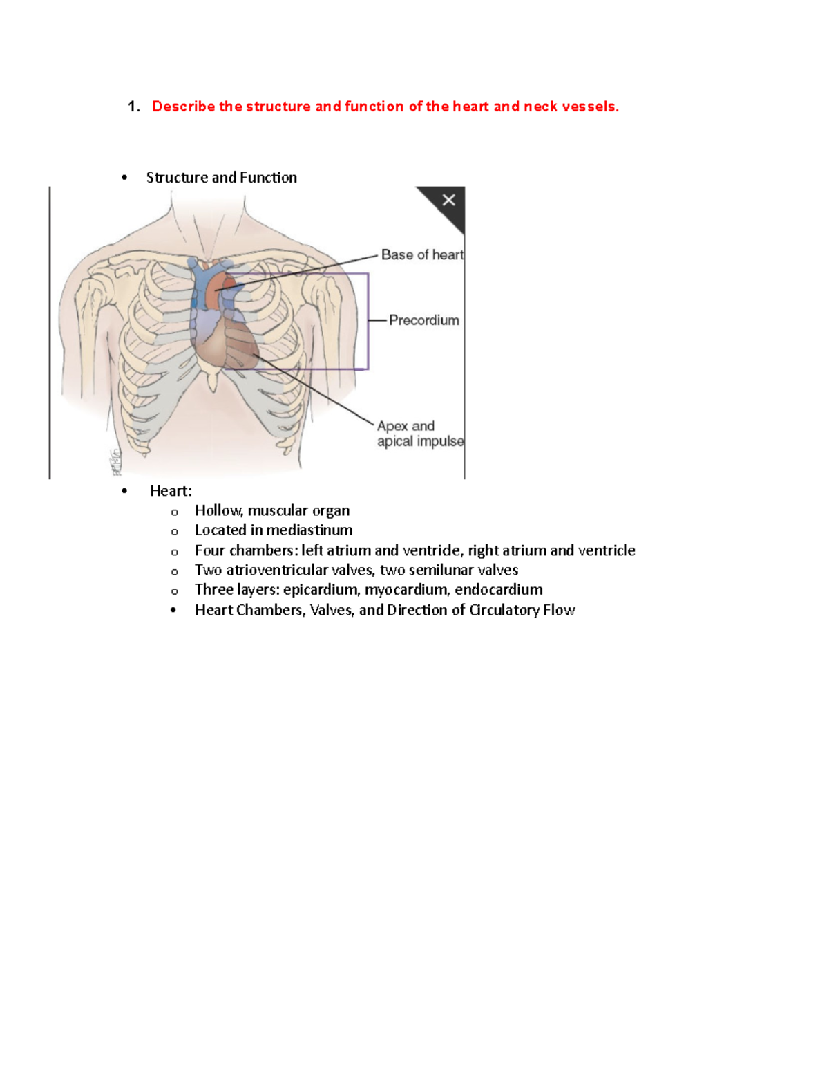 Chapter 21 - heart lecture objectives. Tested on these - Describe the ...