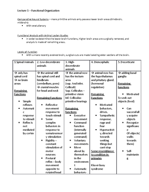 Temporal Lobe - lecture notes - Anatomical Boundaries of Temporal Lobe ...