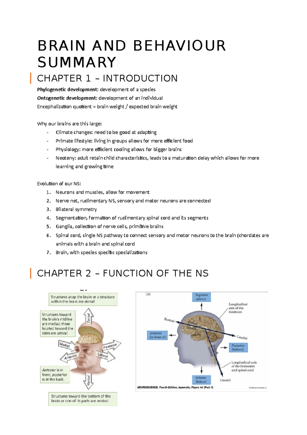 Brain and Behavior (book and lectures) - BRAIN AND BEHAVIOUR SUMMARY ...