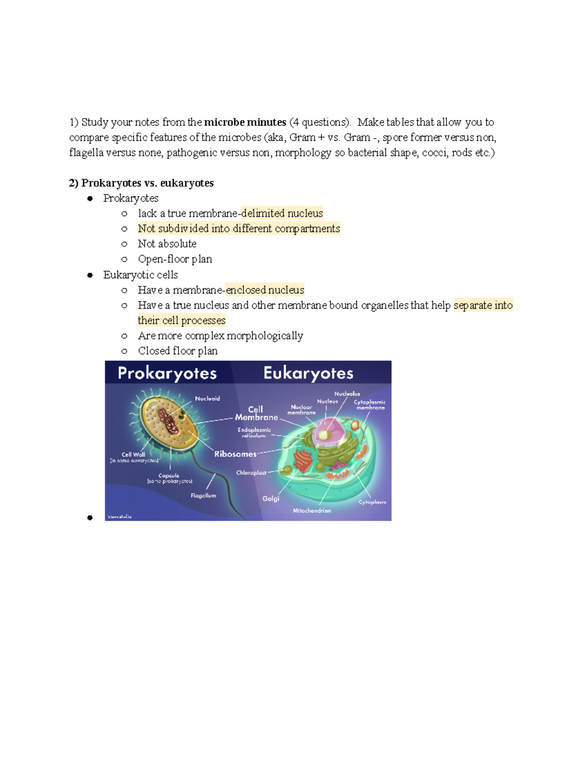 Exam 1 study guide - Study your notes from the microbe minutes (4 ...