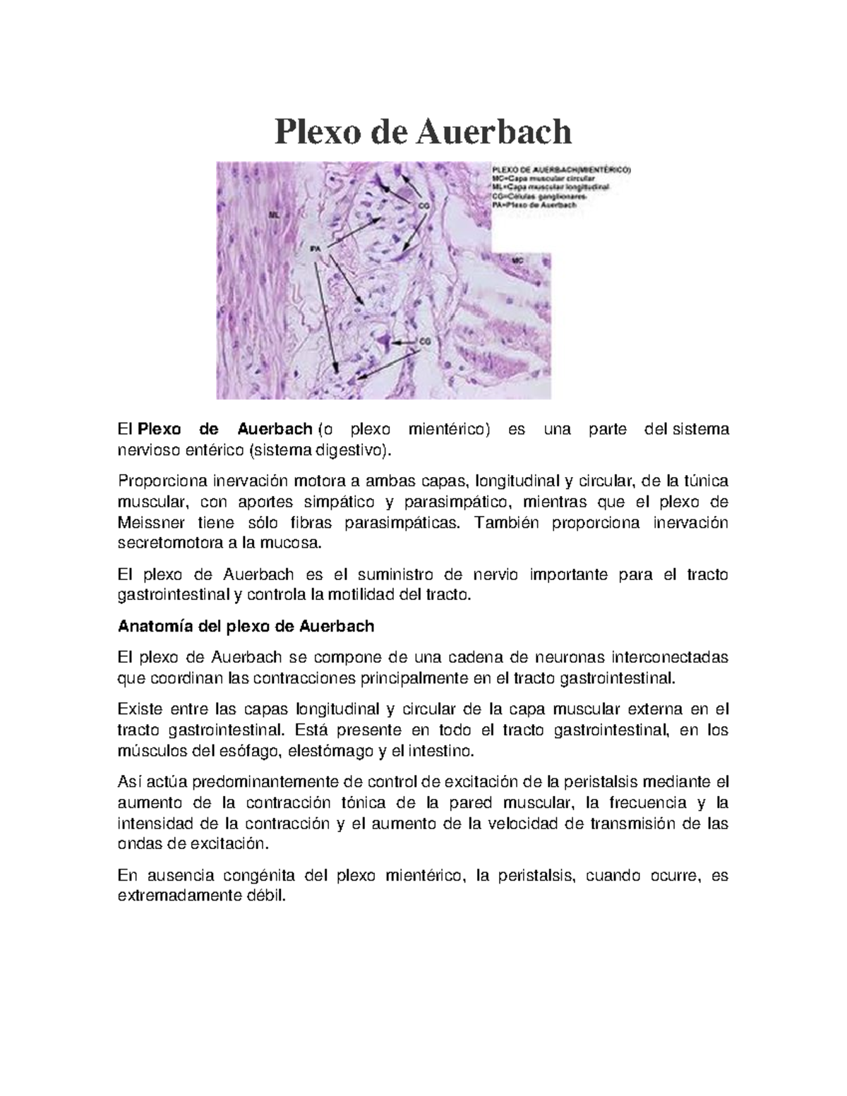 225380512 Plexo de Auerbach - Plexo de Auerbach El Plexo de Auerbach (o ...