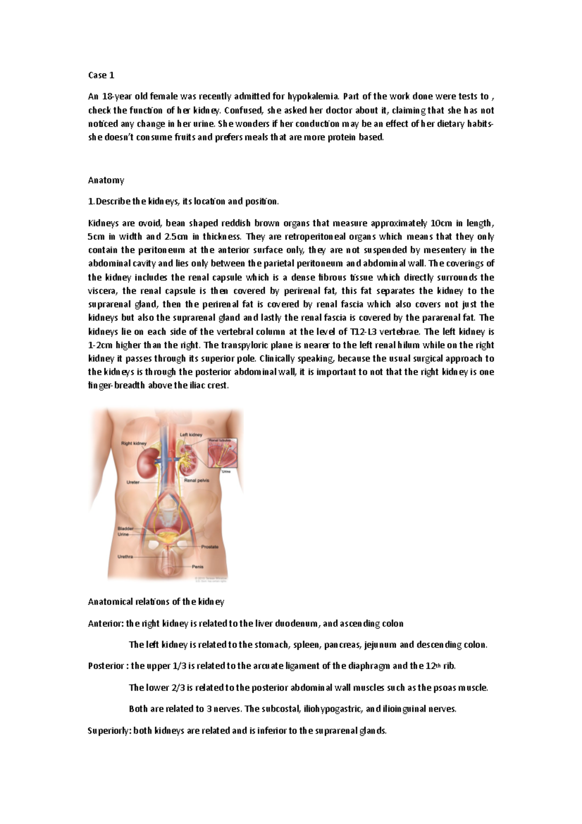 Urinary System-Case Study(Updated) - Case 1 An 18-year old female was ...