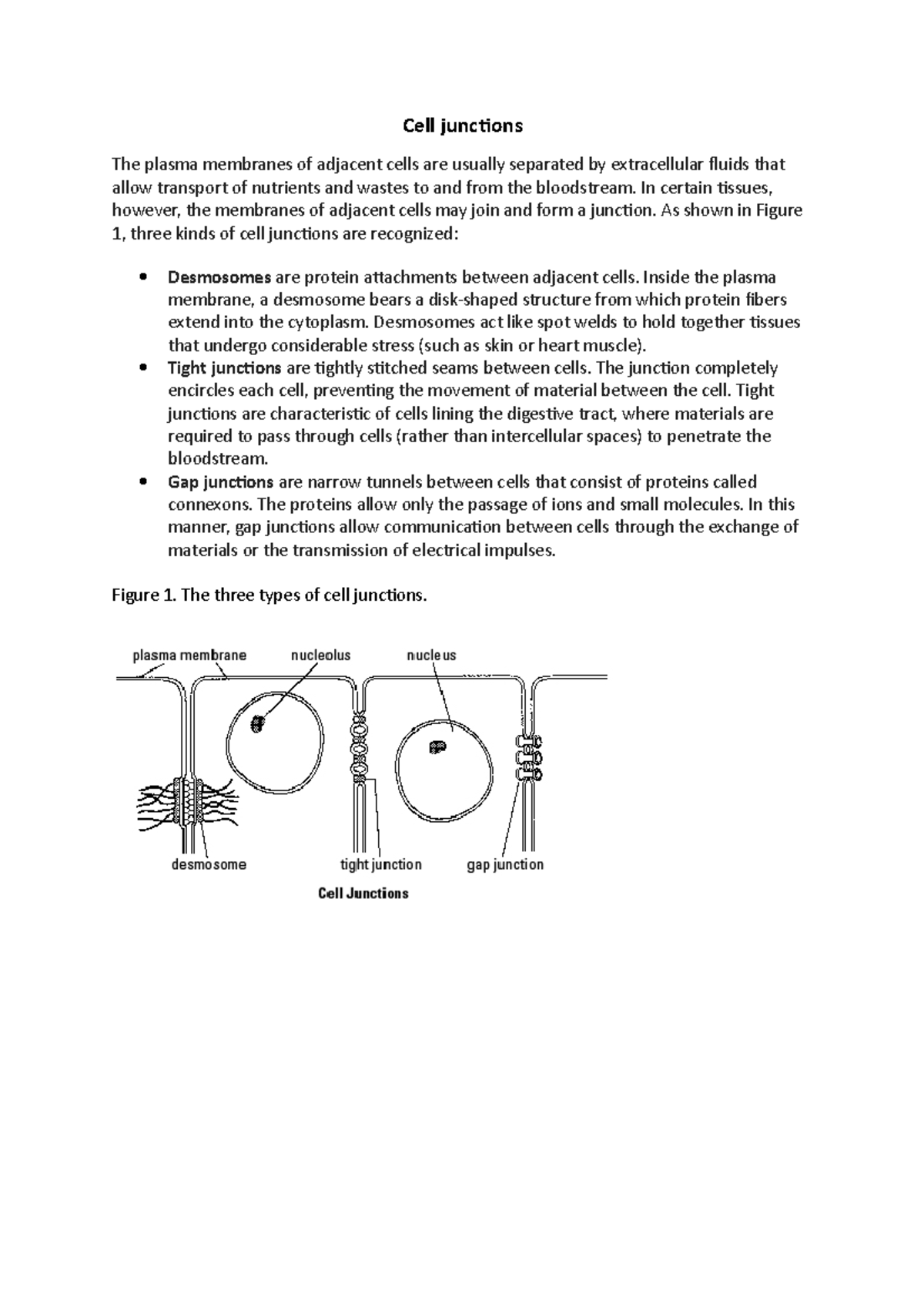 Cell junctions - lecture notes - Cell junctions The plasma membranes of ...