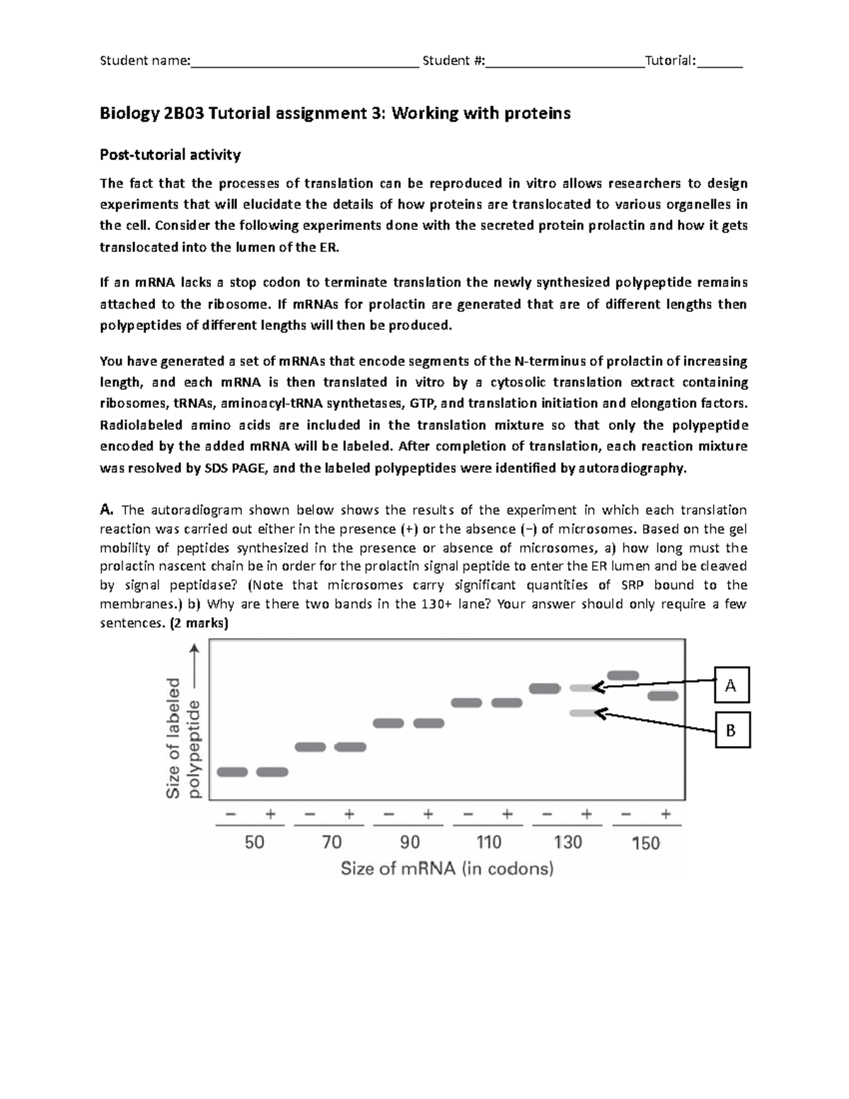 F23 Bio 2B03 Assignment 3 - Working with proteins - Student name ...