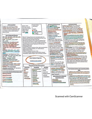 Week 4 Stroke Altered LOC Handout - Resources: Stroke and Altered LOC ...