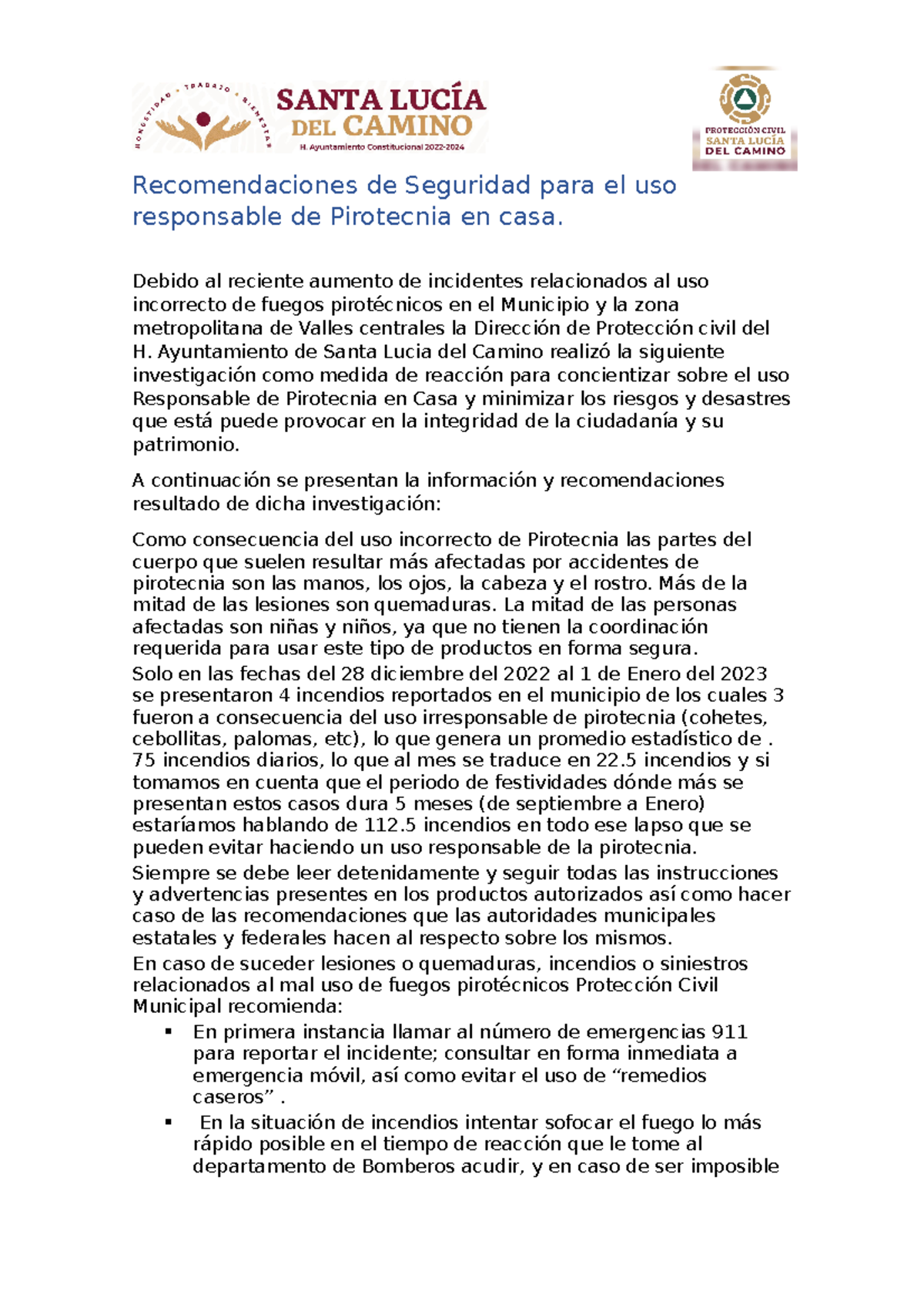Investigacion Pirotecnia - Recomendaciones de Seguridad para el uso ...
