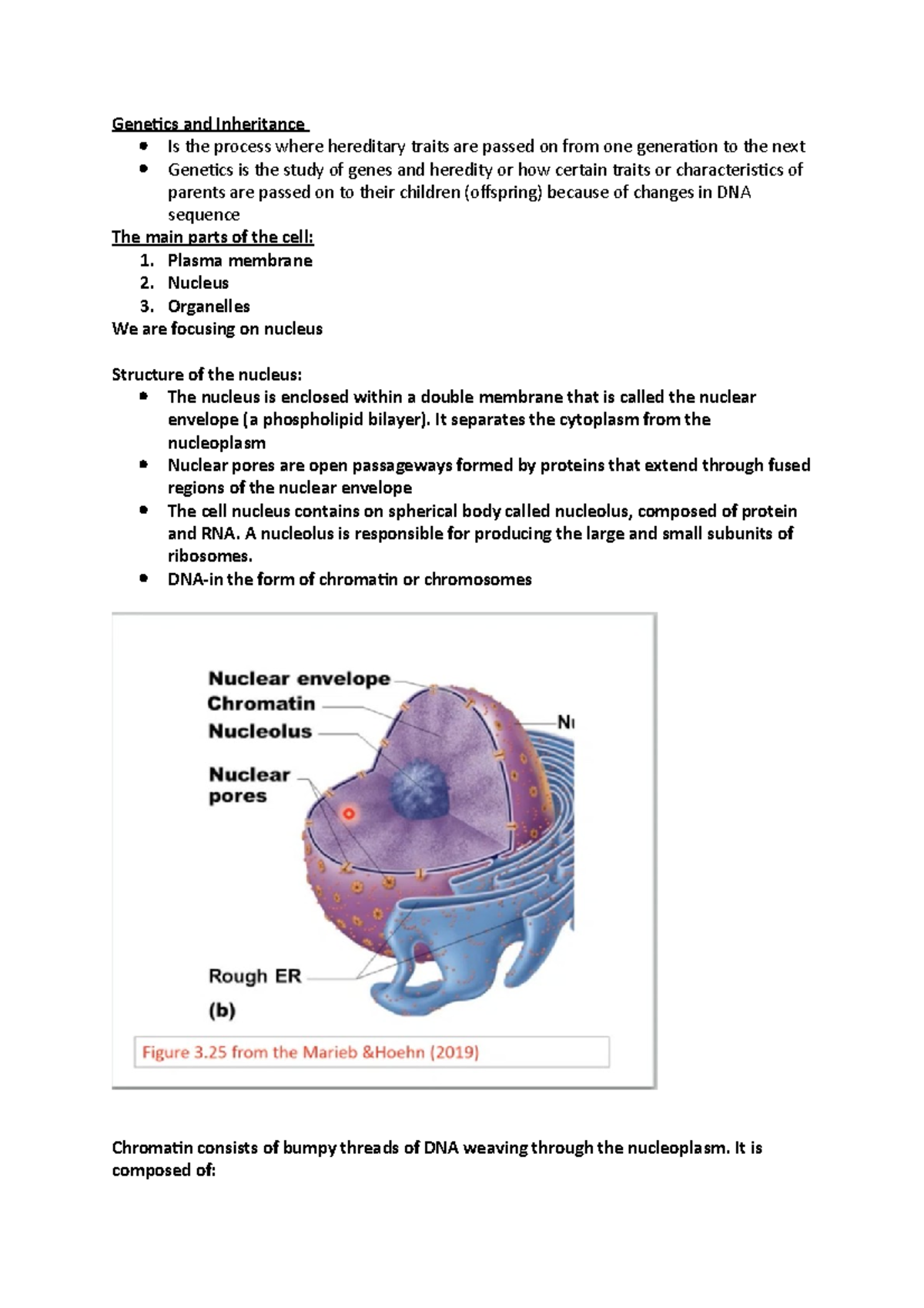 Genetics and Inheritance - Tutorial - Genetics and Inheritance Is the ...