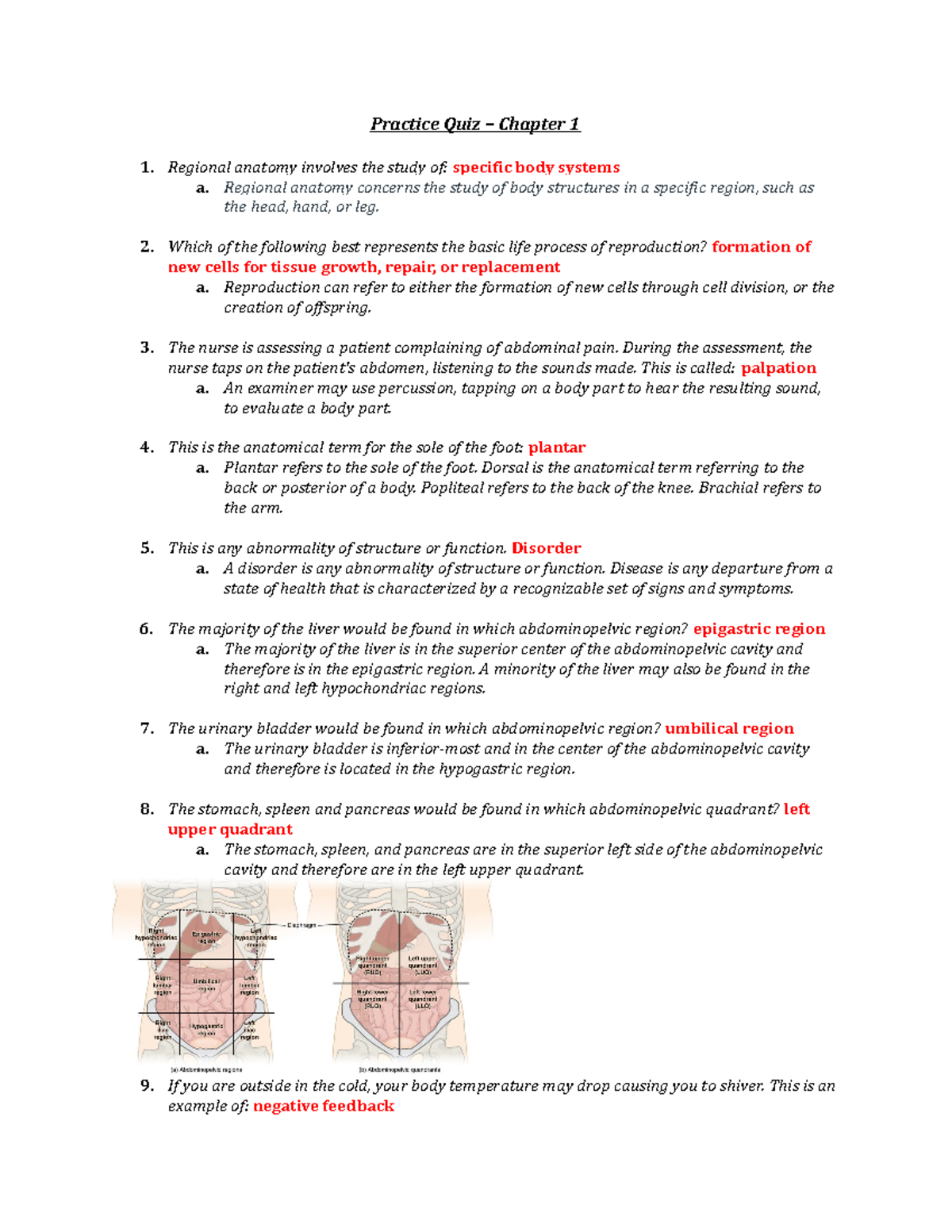 Practice Quiz Chapter 1 - Practice Quiz – Chapter 1 Regional anatomy ...