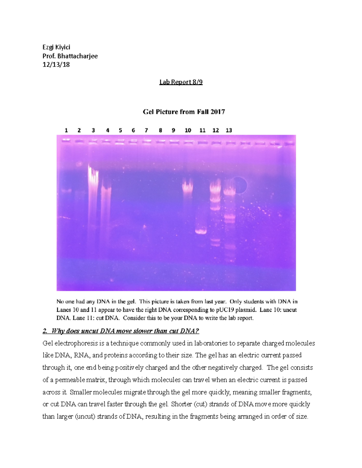 lab 8 and 9 report - biochem 153 - Ezgi Kiyici Prof. Bhattacharjee 12 ...