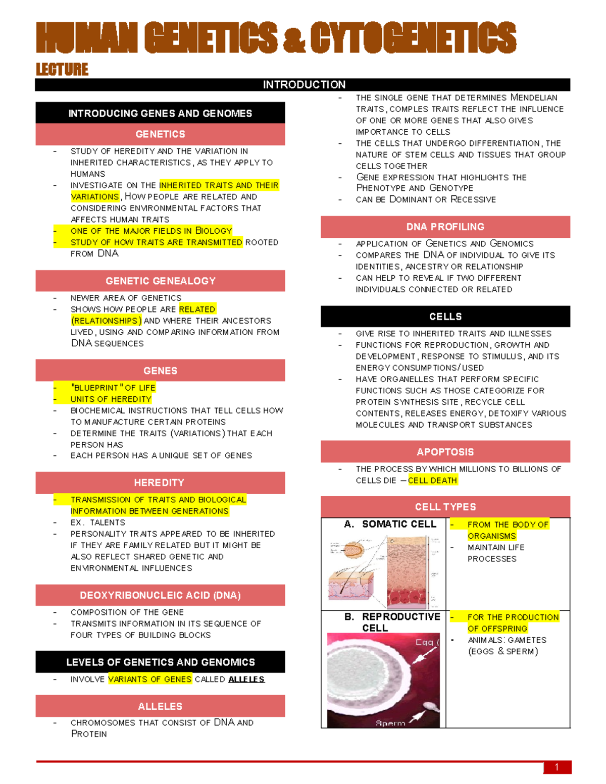 Genetics LEC - HUMAN GENETICS & CYTOGENETICS LECTURE INTRODUCTION ...