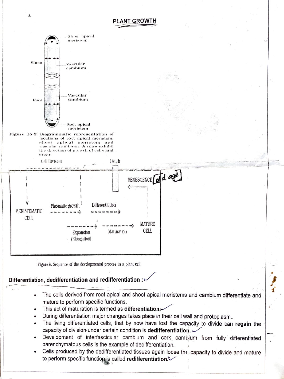 Plant growth - It is a simple study material - Biology - Studocu